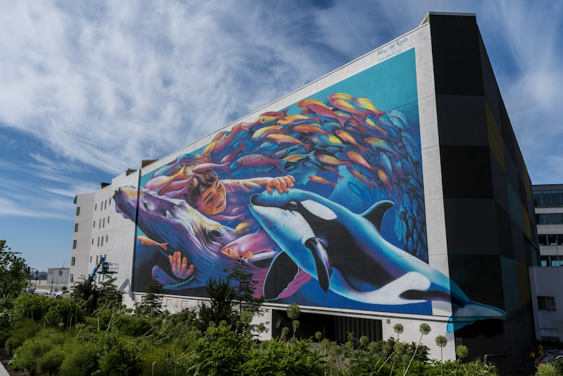 Murals and Events - Street Art For Mankind